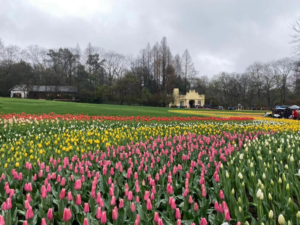 Dermal Filler Supplier | Leading Hyaluronic Acid Fillers Brand - Hafiller